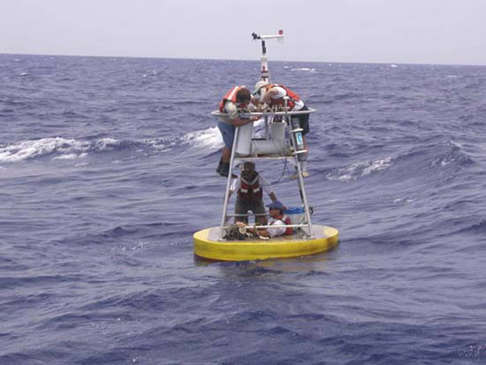 RDSEA "Pic Of The Week"