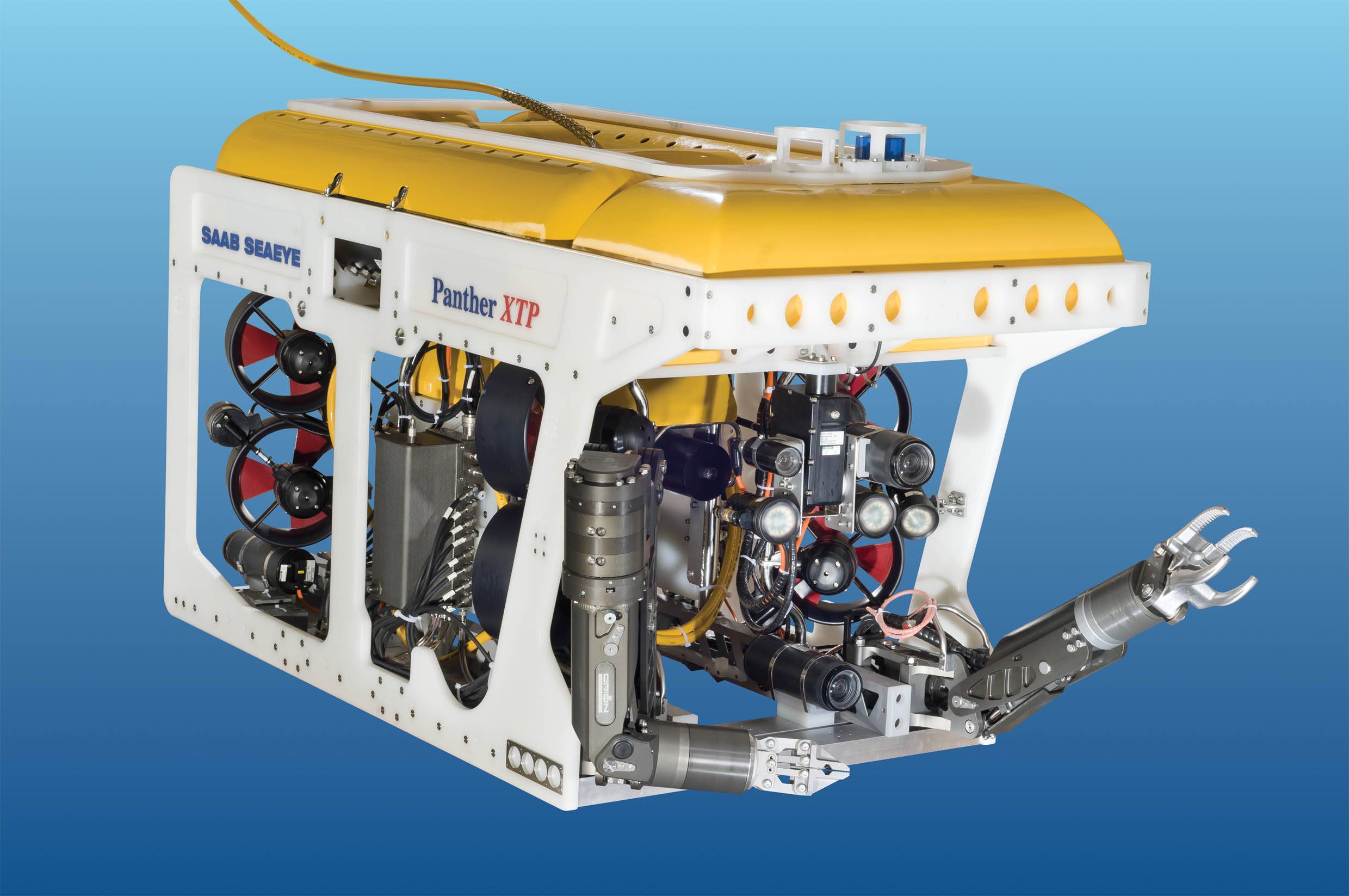 Panthers Picked For Gulf