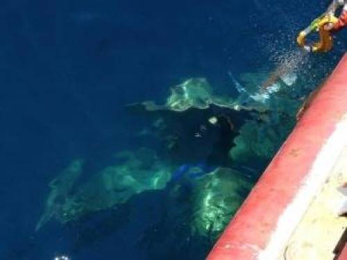 Ferry's Lost Propeller Recovered From Cook Strait