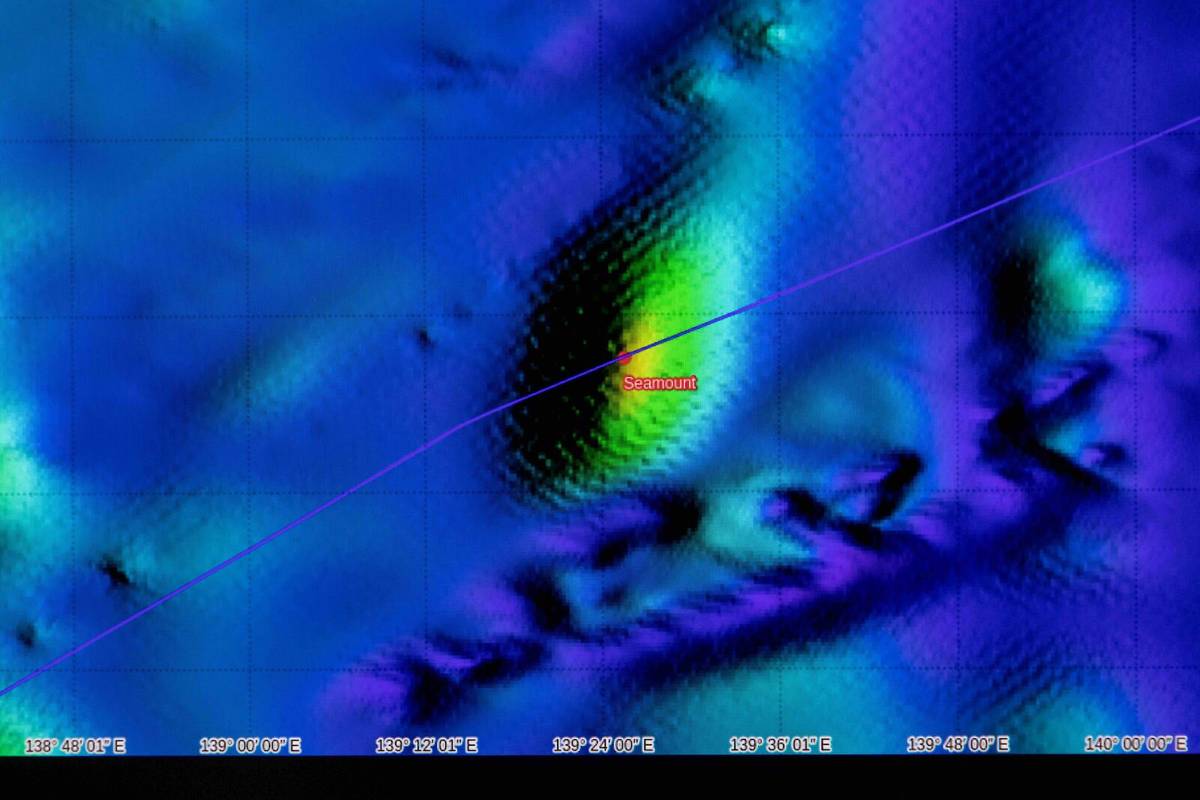 Seamount Mountain