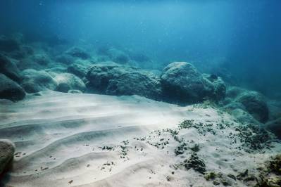 Map Of World's Seafloor Takes Shape Despite Crisis