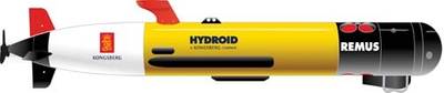 Hydroid Offers Intensive REMUS 100 AUV Training