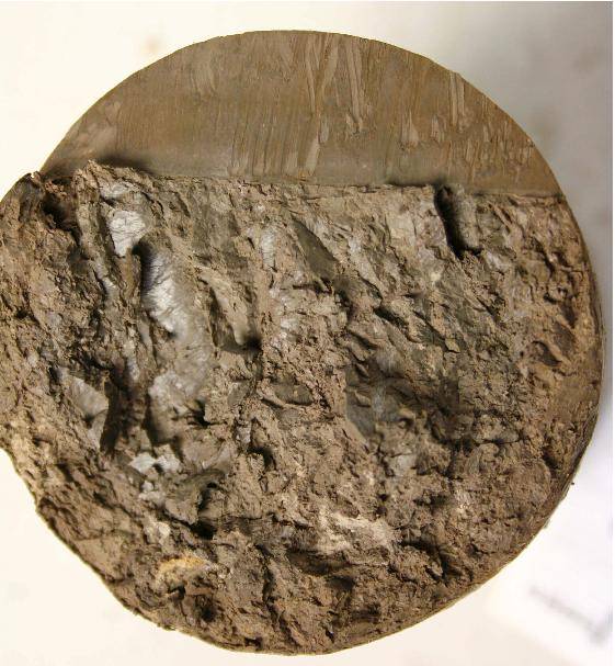 Offshore Wind Zone Core Samples Donated To Science