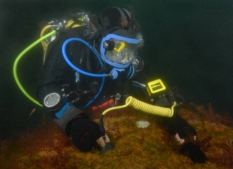 Divers Monitor HMS A7 Using Underwater Thickness Gauge