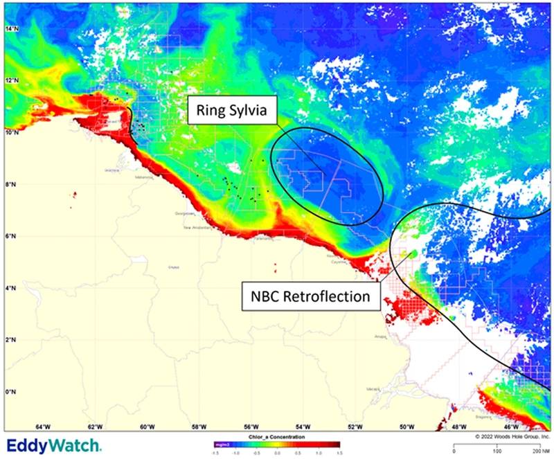 First North Brazil Current Ring Of 2022 Forms Offshore