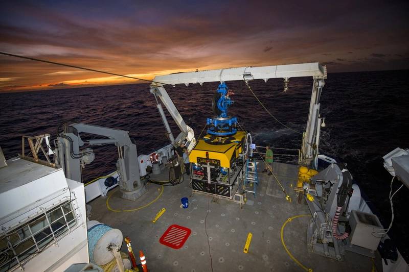 Deep Sea Science:Deep Sea Reveals Insights On Human