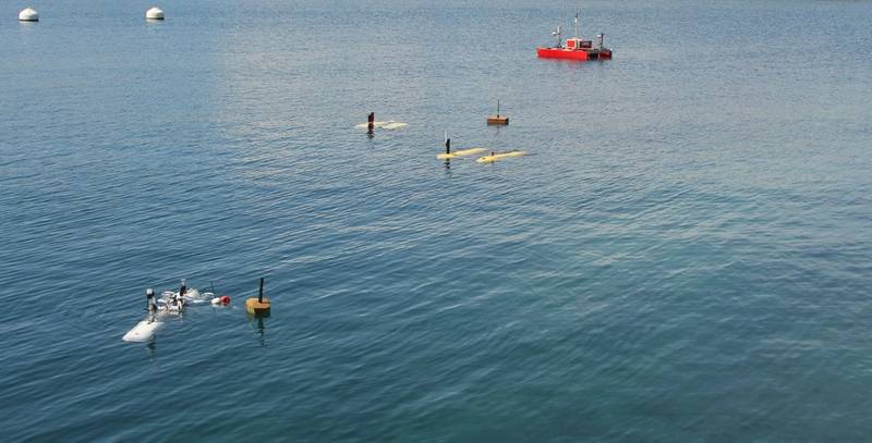 JANUS: First Digital Underwater Communication Standard