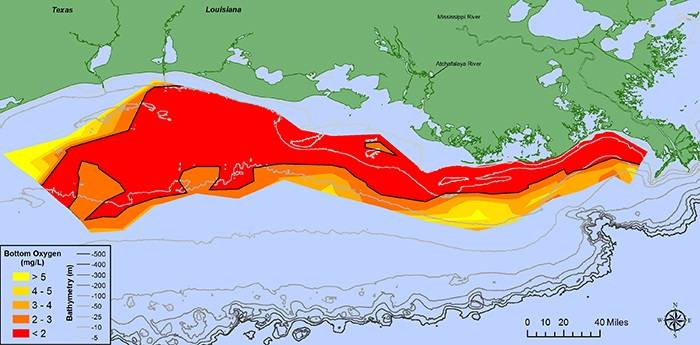 Gom Dead Zone Is The Largest On Record