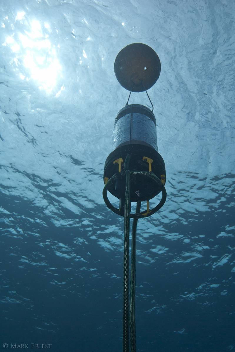 Teledyne Benthos Acoustic Modems Aid In Innovasea Fish