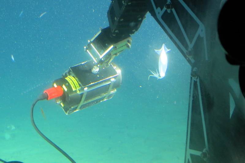 4K Camera Captures Subsea Footage For BBC And NHK