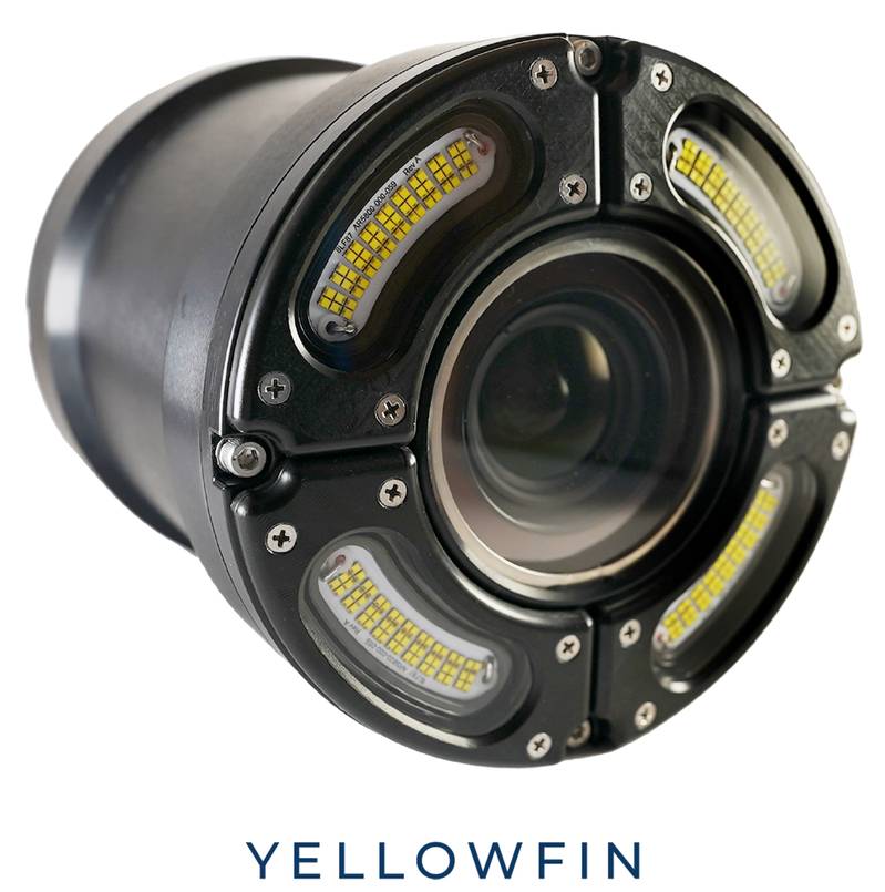 Arctic Rays Debuts 4 New Products