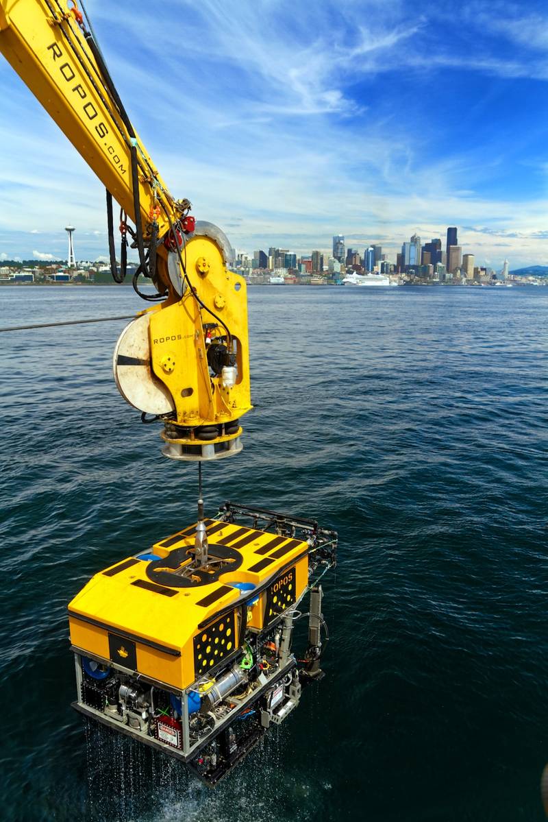 ROV Installs RSN Cabled Observatory Off US