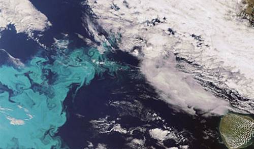 Imarest Student Members Win National Awards