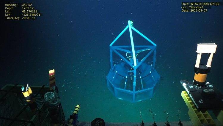 ONC’S Deep Sea Observatory Supporting Ocean-Based CO2