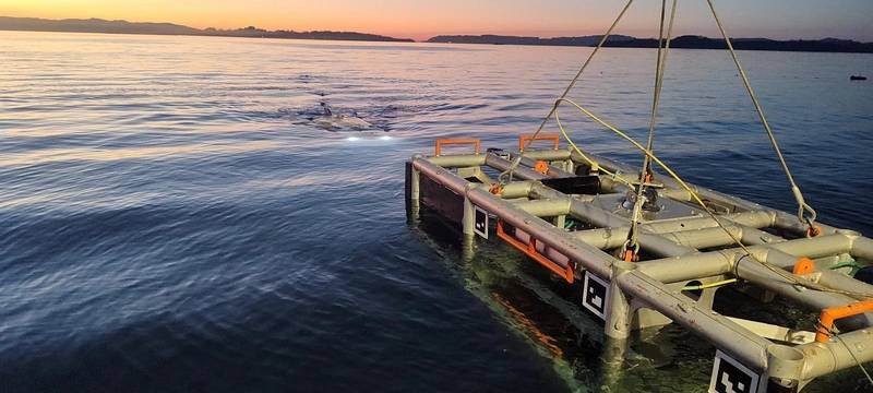 Oceaneering Demos AUV For US Navy And Defense