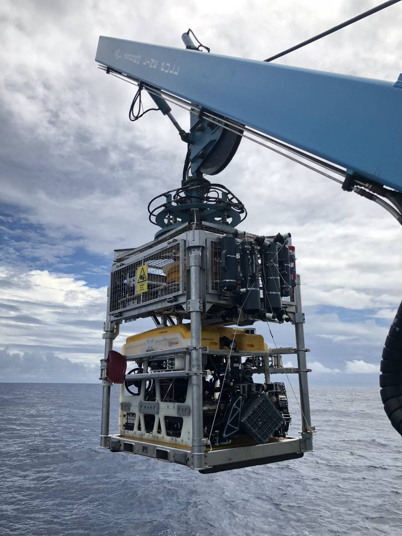 Rovco Completes Amazon Reef Survey For Greenpeace