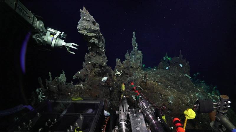 Scientists Find Life At Unexplored Ocean Depths