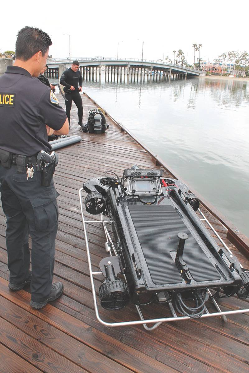 MTR100: Shark Marine