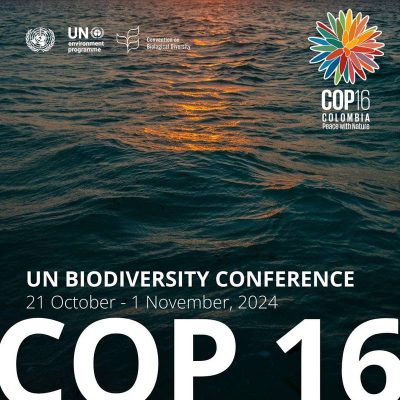 COP16 Biodiversity Summit Gridlocked