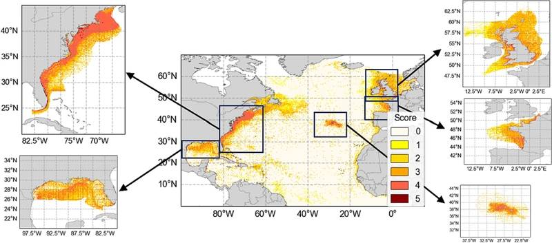 High-Risk Litter Zones Threaten North Atlantic