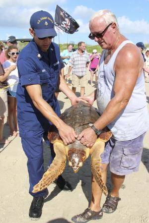 Coast Guard Turn Turtle To Save Endangered Species