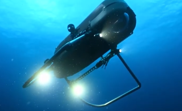 NOAA 50Th Anniversary Spotlight: The American Blue